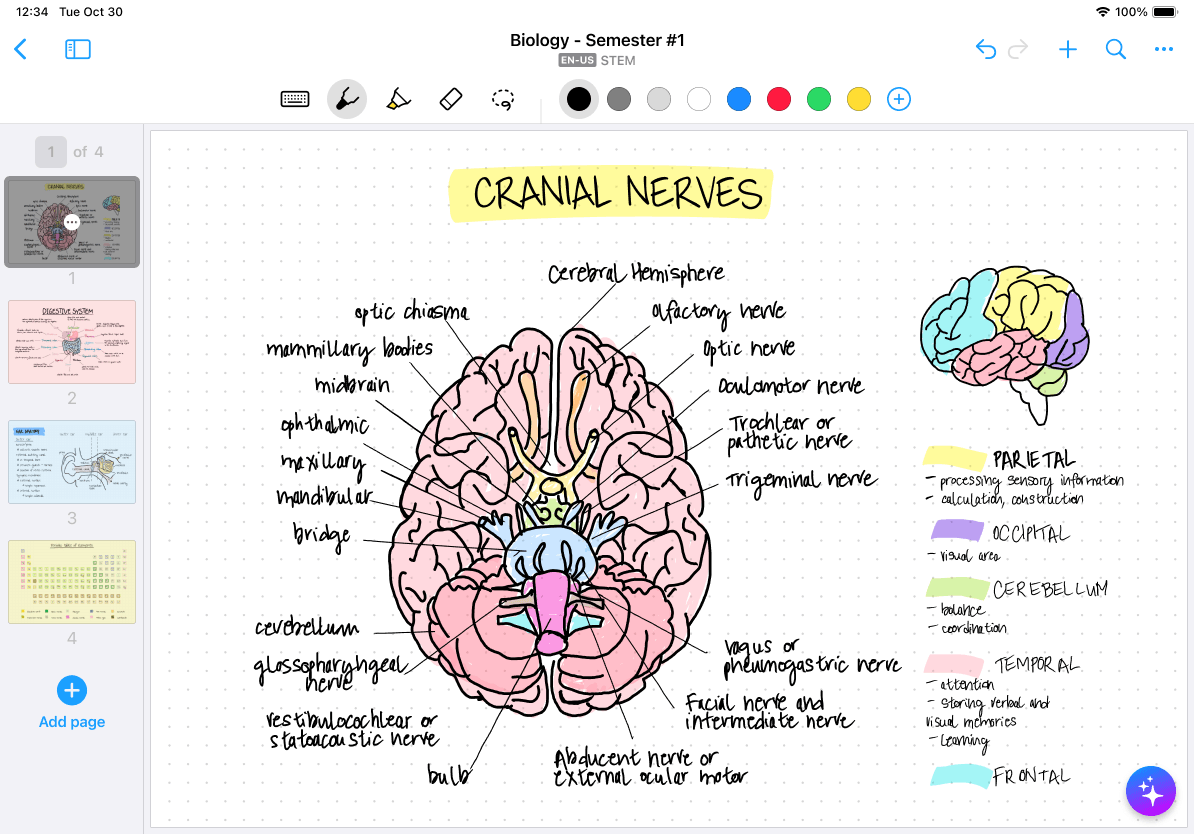 MyScript Notes (anciennement Nebo) | MyScript